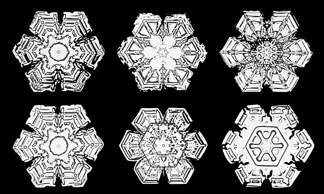 Vintage photographs highlight the unique beauty of snowflakes