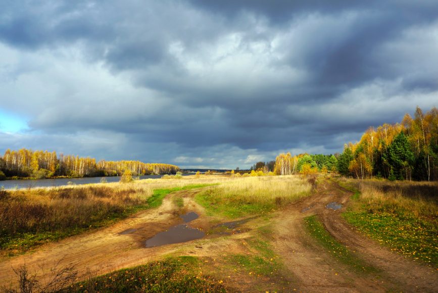 A fall photography how-to guide